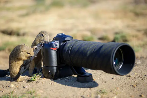 10 Silly Mistakes Photographers Make 10 Silly Mistakes Photographers Make