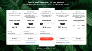 Is a Shutterstock Subscription Worth It? Pros and Cons - Photodoto