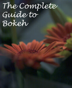 Understanding Bokeh in Photography: A Complete Guide - Photodoto